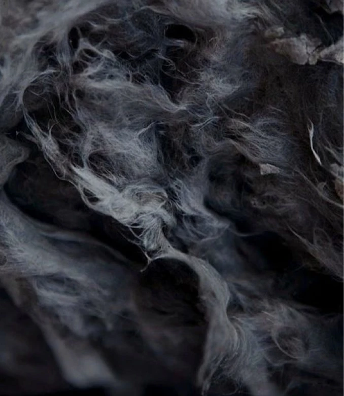 Obscurus | Wiki Crossroads | Fandom