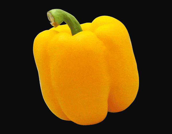 EAT: THE REVOLUTION | Crows Crows Crows Wiki | Fandom