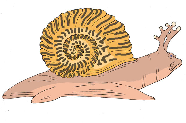 Sarmatian Sea Snail Cryptid Tidbits Wiki Fandom Powered By Wikia