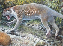 Queensland tiger | Cryptids and Myths Wiki | Fandom