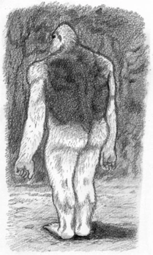 Black-and-white ape | Cryptids and Myths Wiki | Fandom
