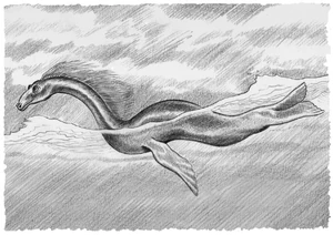 Merhorse | Cryptids and Myths Wiki | Fandom