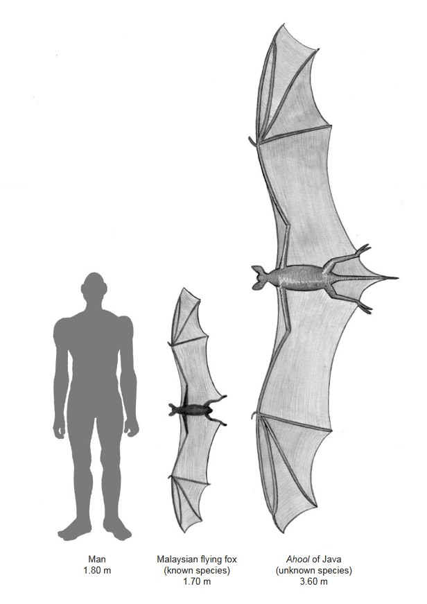 Ahool | Encyclopaedia of Cryptozoology | Fandom