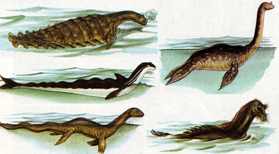 Heuvelmans system | Cryptids and Myths Wiki | Fandom