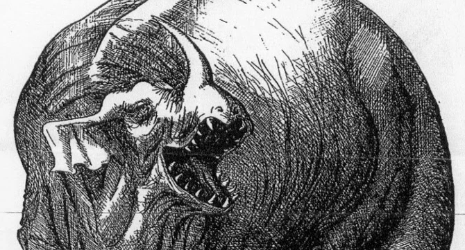 Cryptids and Myths Wiki | Fandom