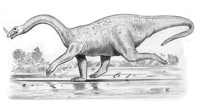 Chipekwe | Cryptids and Myths Wiki | Fandom