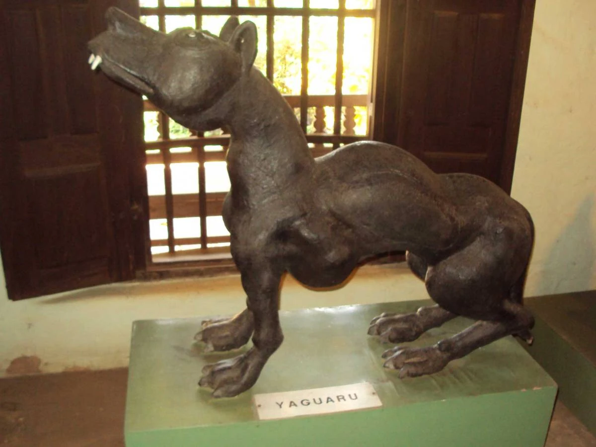 Water tiger | Cryptids and Myths Wiki | Fandom