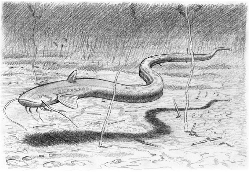 Lau | Cryptids and Myths Wiki | Fandom