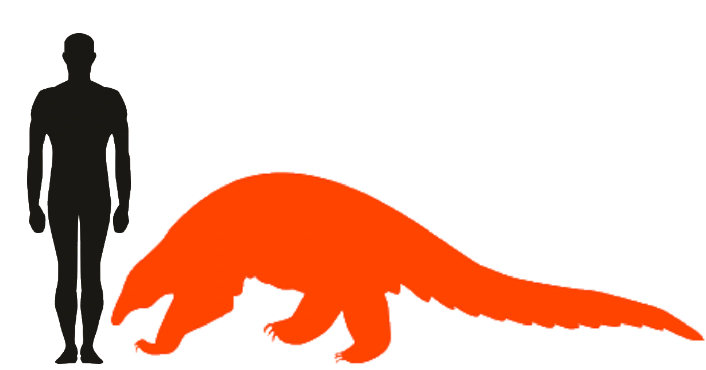 Veo | Cryptids and Myths Wiki | Fandom