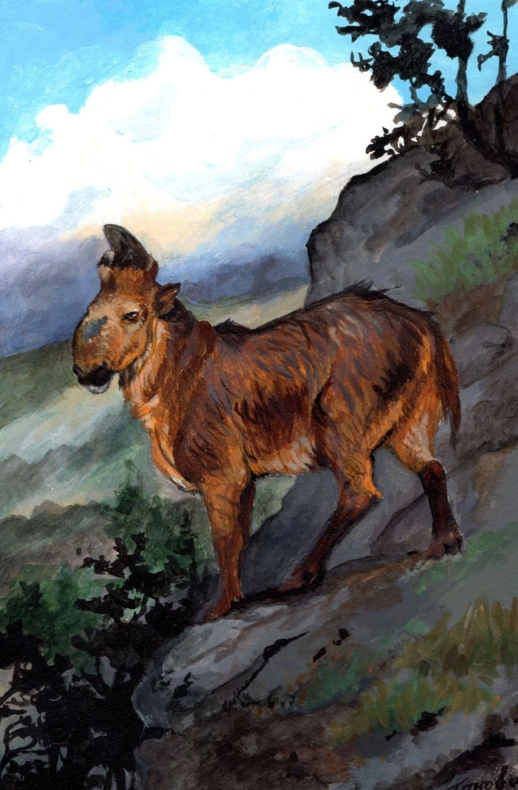 Tibetan unicorn | Cryptids and Myths Wiki | Fandom