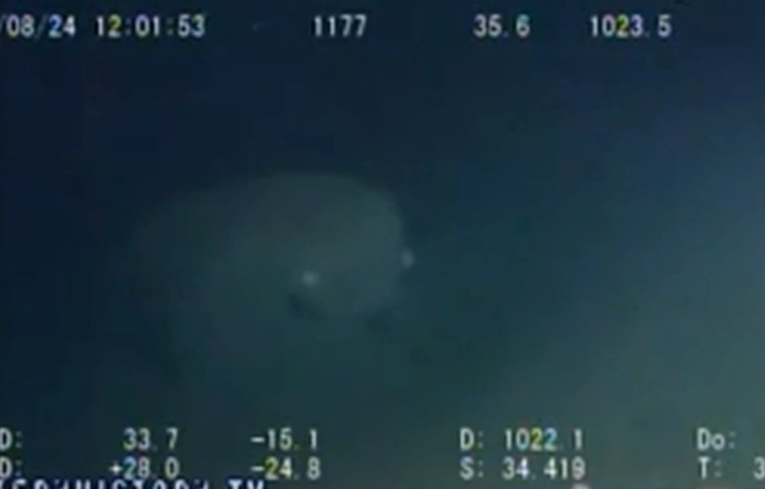 Image - Ningen in bay.png | Cryptids and Myths Wiki | FANDOM powered by ...