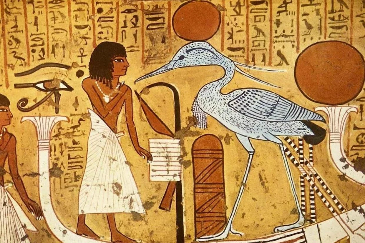 Bennu bird | Encyclopaedia of Cryptozoology | Fandom