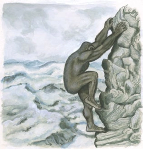 Ucumar | Cryptids and Myths Wiki | Fandom