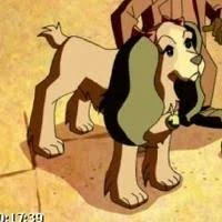 Nova (Scooby-Doo! Mystery Incorporated) | The Everything Wikia | Fandom
