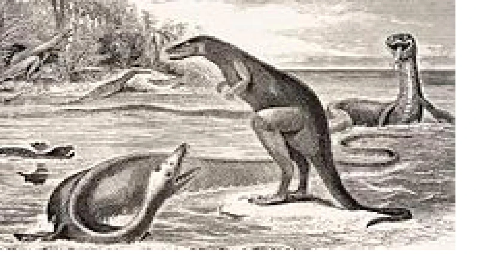 Maumee River Monster | Cryptid Wiki | Fandom