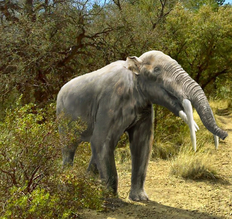 Image - Gomphotherium angustidens by leogon-d83e9ni.jpg | Cryptid Wiki ...