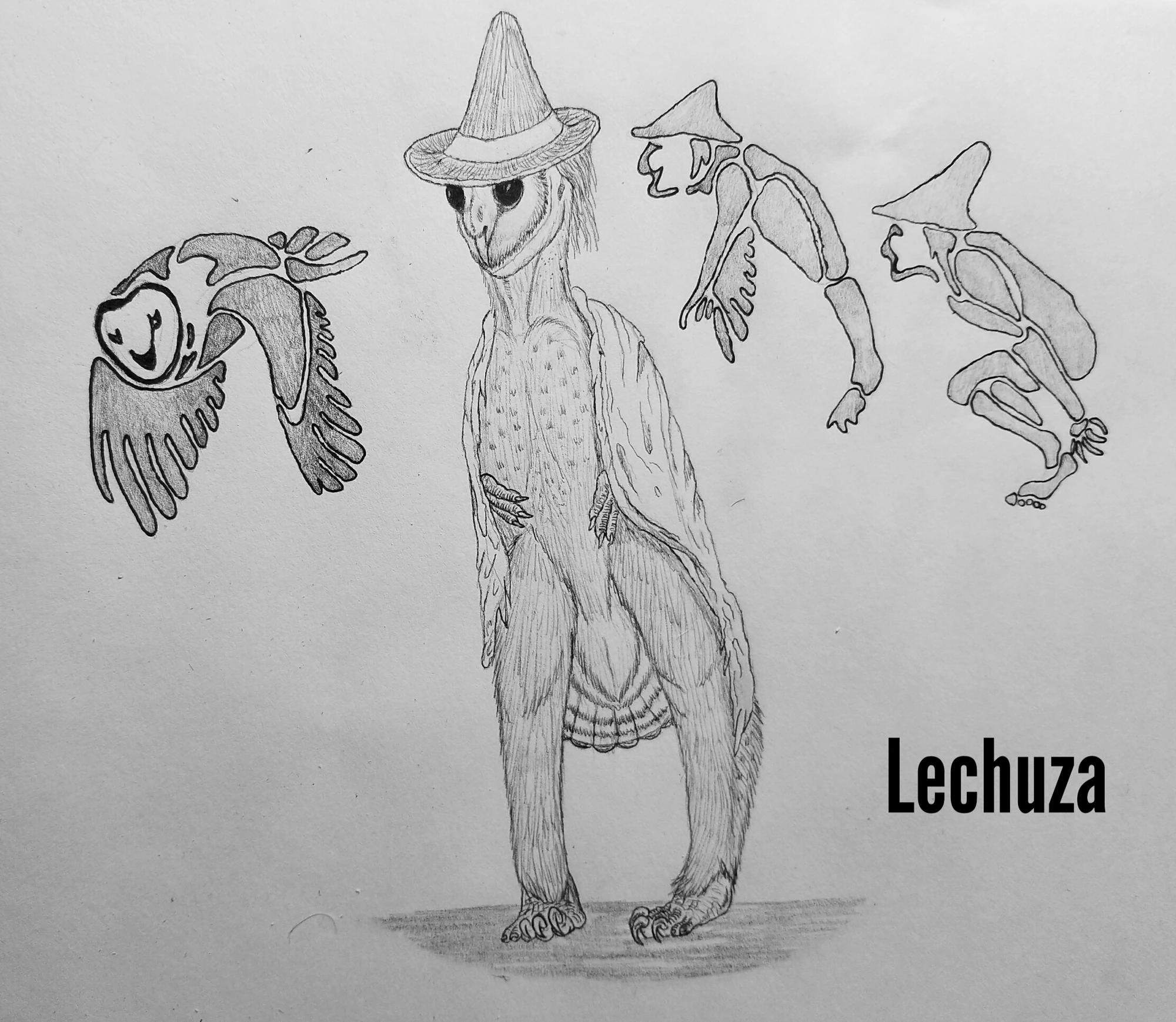 Lechuza | Cryptid Wiki | Fandom