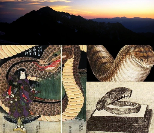 Giant Snake of Mt. Tsurugi | Cryptid Wiki | Fandom