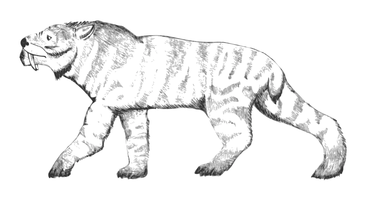 Ennedi Tiger | Cryptid Wiki | Fandom