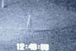 Fresno Nightcrawler | Cryptid Wiki | Fandom