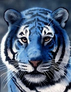 Maltese Tiger | Cryptid Wiki | FANDOM powered by Wikia