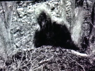 Grassman | Cryptid Wiki | Fandom