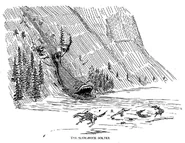 Slide-Rock Bolter | Cryptid Wiki | FANDOM powered by Wikia