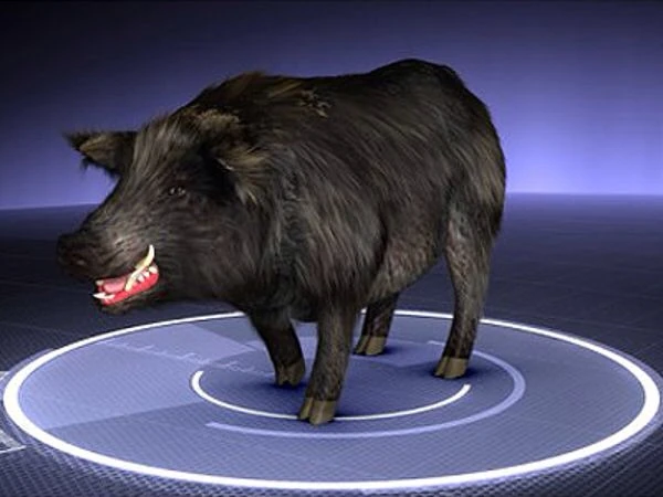 Image - Hogzilla 2.jpg | Cryptid Wiki | FANDOM powered by Wikia