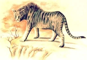 Mngwa | Cryptid Wiki | Fandom