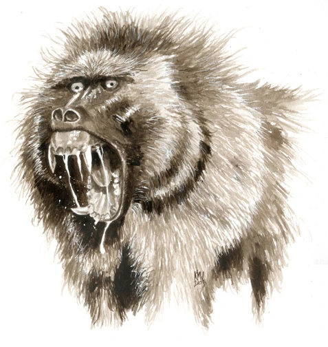 Devil Monkeys | Cryptid Wiki | FANDOM powered by Wikia