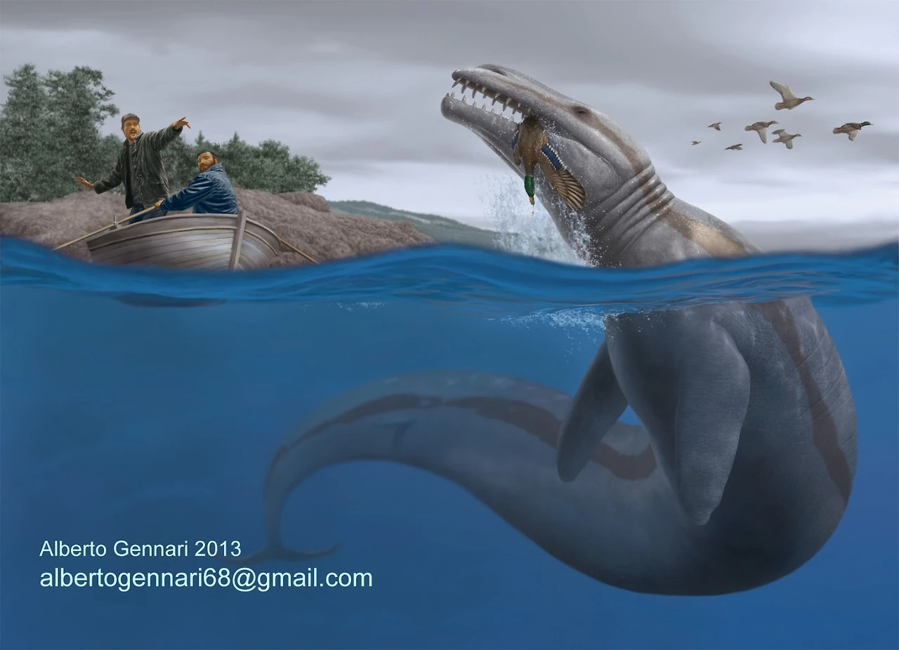 Cadborosaurus willsi | Cryptid Wiki | FANDOM powered by Wikia