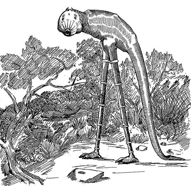 Tripodero | Cryptid Wiki | FANDOM powered by Wikia