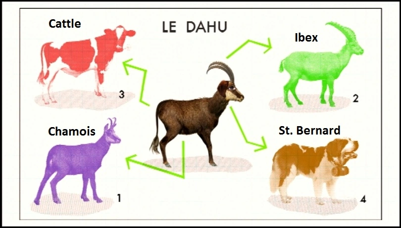 Dahu | Cryptid Wiki | Fandom