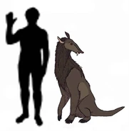 Bunyip | Cryptid Wiki | Fandom