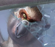 Big Bird | Cryptid Wiki | FANDOM powered by Wikia