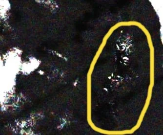 Devil Creature of Son Doong Cave | Cryptid Wiki | Fandom