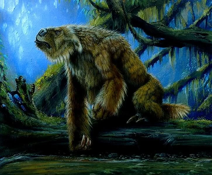 Mapinguari | Cryptid Wiki | FANDOM powered by Wikia