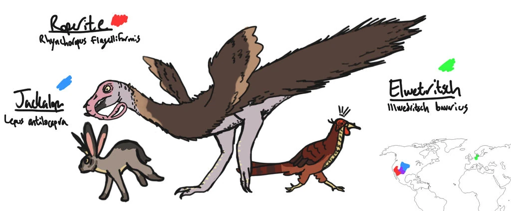 Elwetritsch | Cryptid Wiki | Fandom