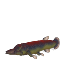 Abyssal Rainbow Gar | Cryptid Wiki | FANDOM powered by Wikia
