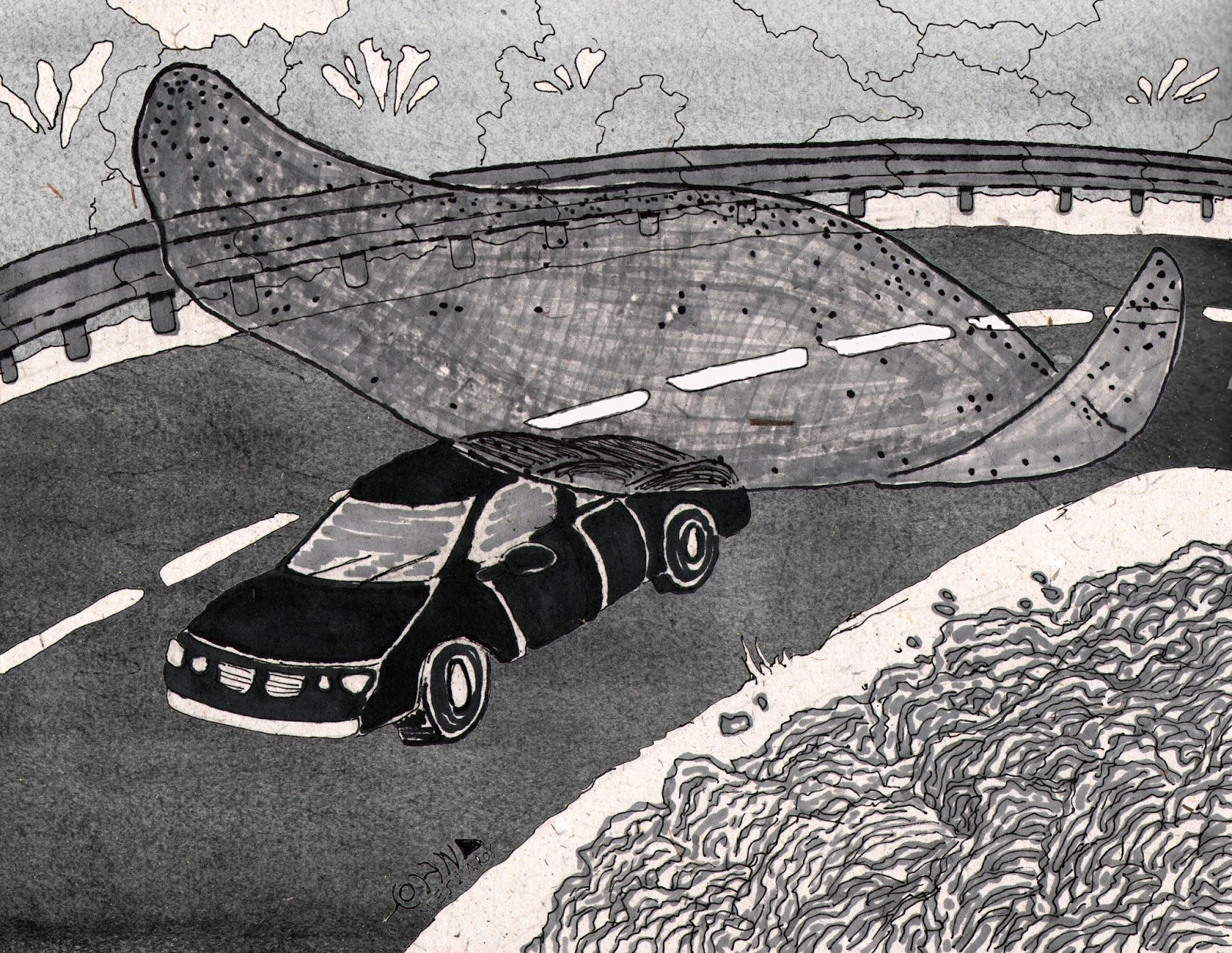 Flying Rays | Cryptid Wiki | Fandom