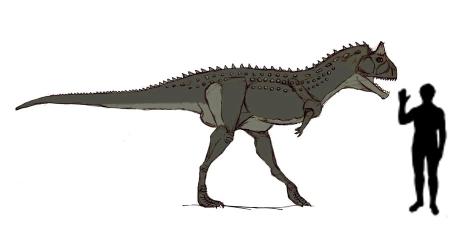 Stoa | Cryptid Wiki | Fandom