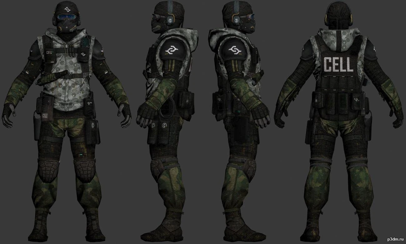 Image - 1435070850 cell-flanker 1.jpg | Crysis Wiki | FANDOM powered by ...