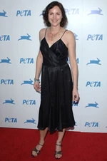 Jorja Fox | CSI | Fandom