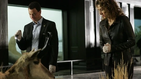 Necrophilia Americana | CSI | Fandom