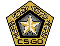 Gamma Case | Counter-Strike Wiki | FANDOM powered by Wikia