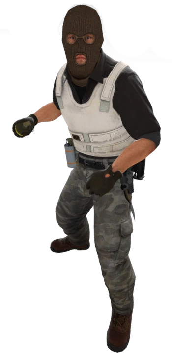 Image - P hegrenade t csgo.png | Counter-Strike Wiki | FANDOM powered ...