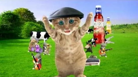 Crusha Kittens | Cursed Commercials Wiki | Fandom