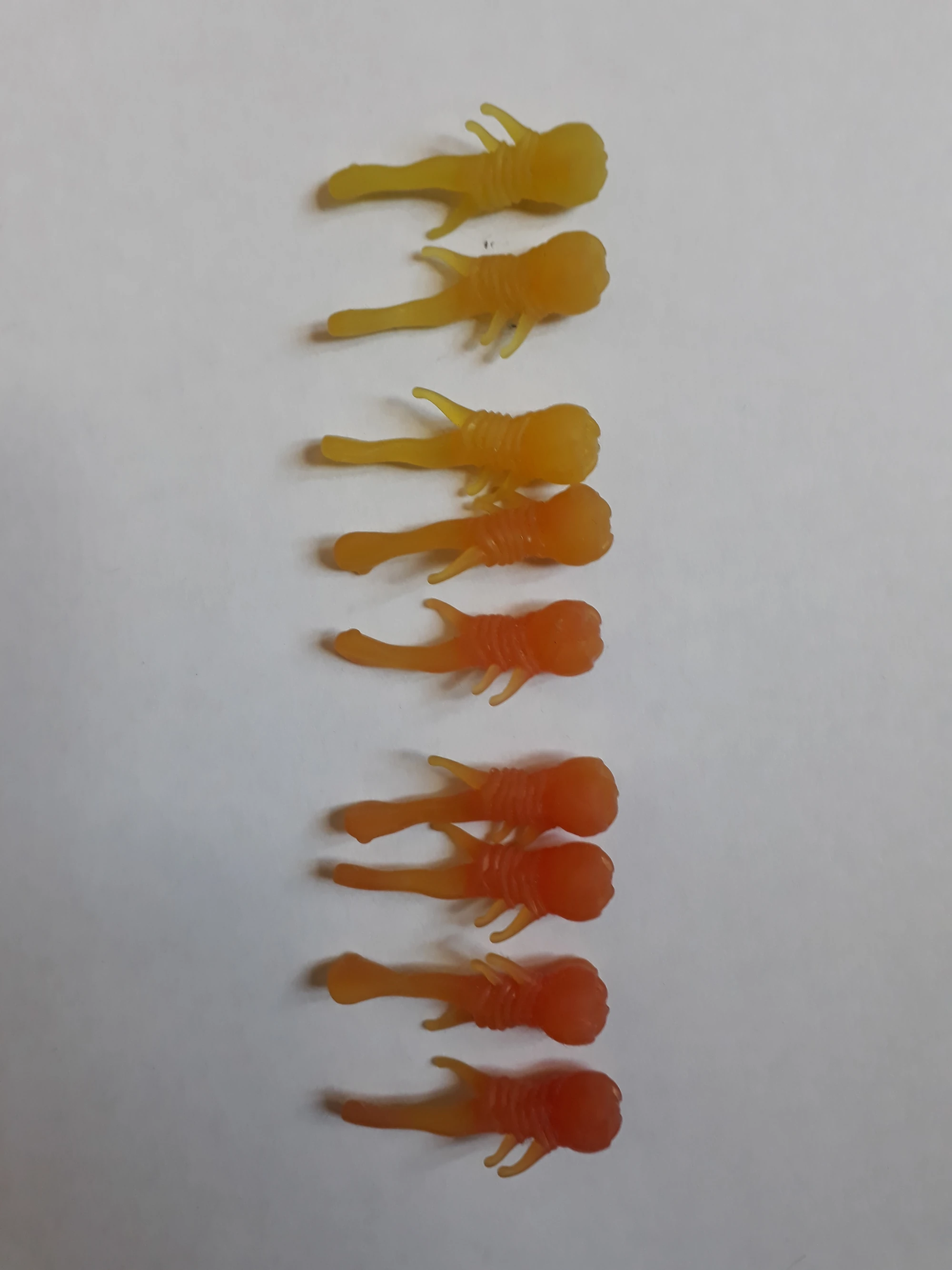 Squid (Rahi) | Custom BIONICLE Wiki | Fandom