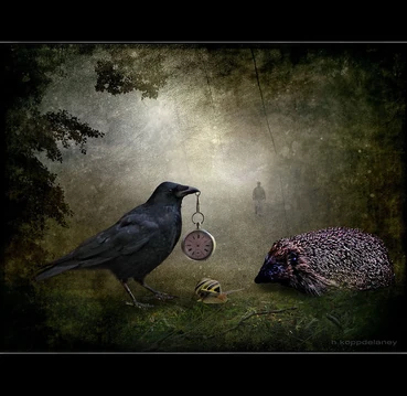 Daemon Golden Compass Wiki | Fandom