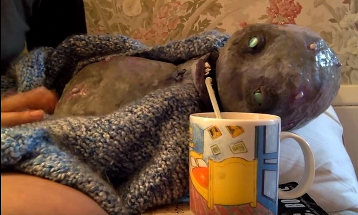 Lets chat about Dad! Science! Alan! and the basement! | Daisy Brown ...